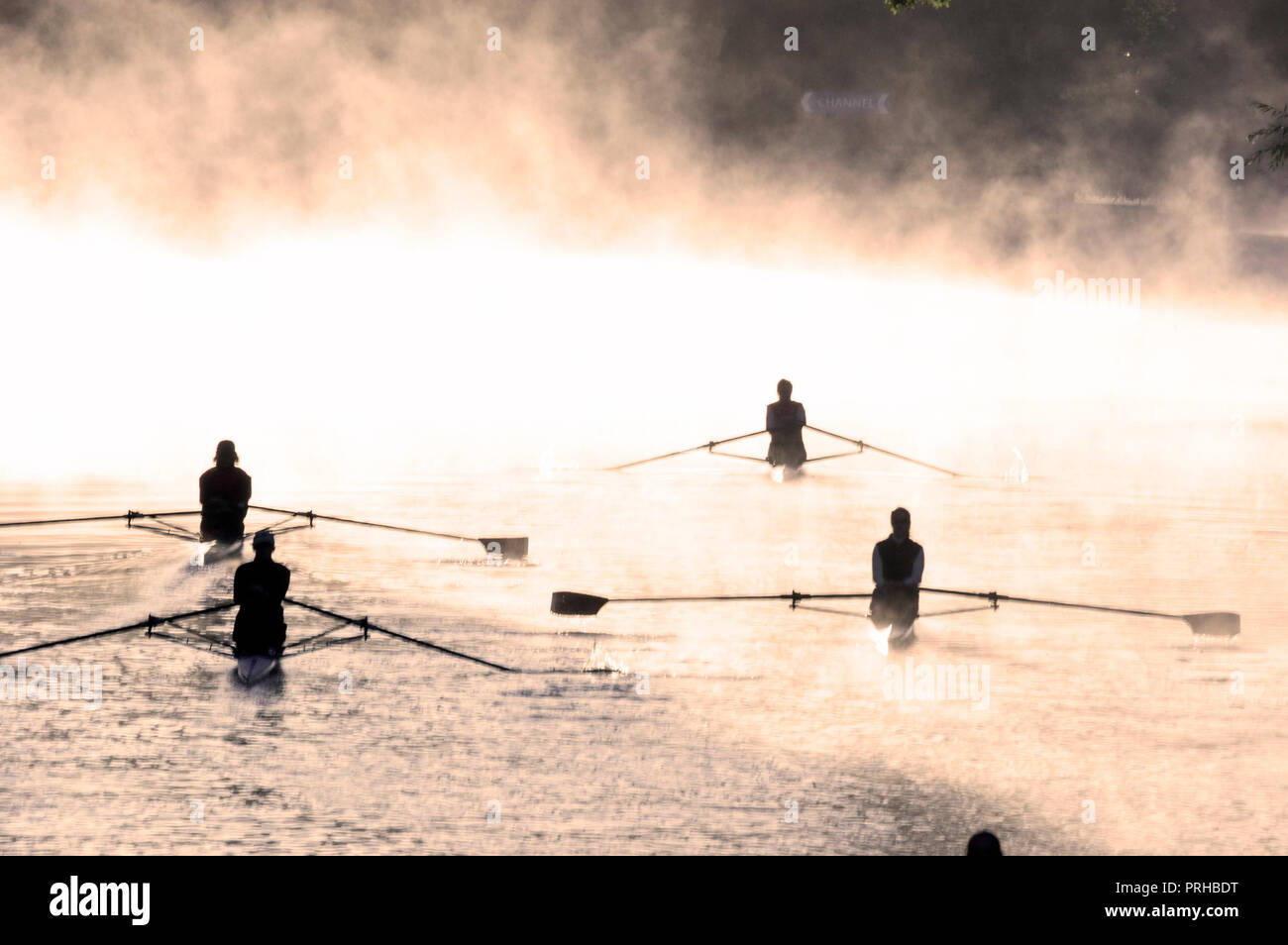 An early morning row in the autumn mist on the river Thames at Marlow ...
