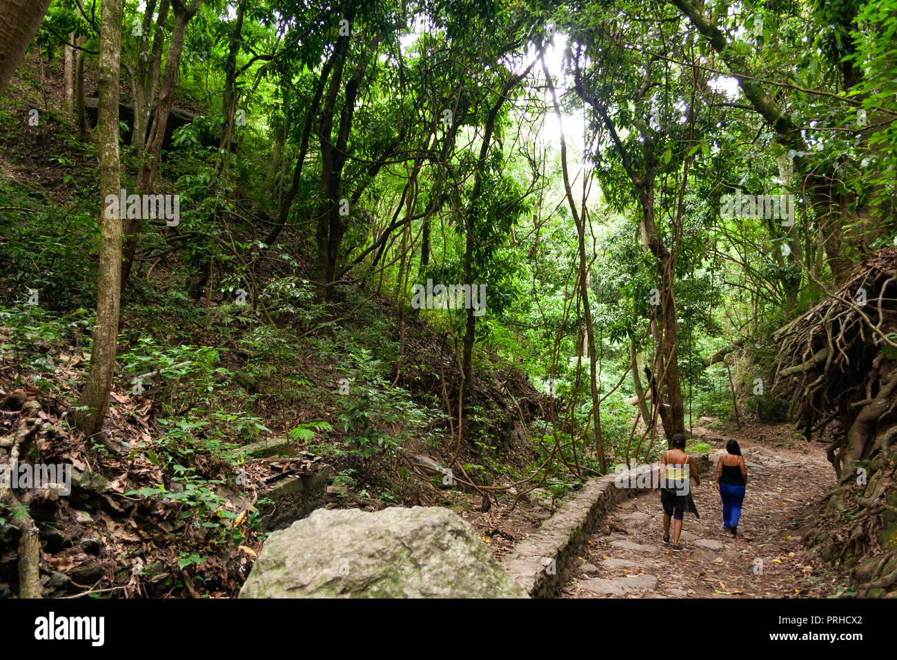El Avila Waraira Repano National Park mountain path Sabas Nieves Stock ...