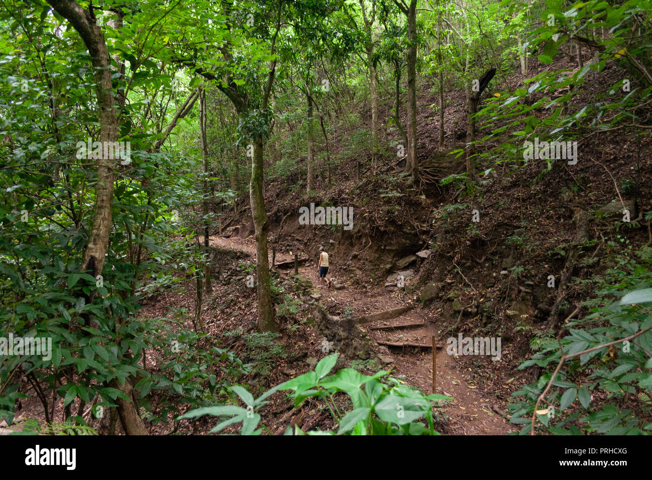 El Avila Waraira Repano National Park mountain path Sabas Nieves Stock ...