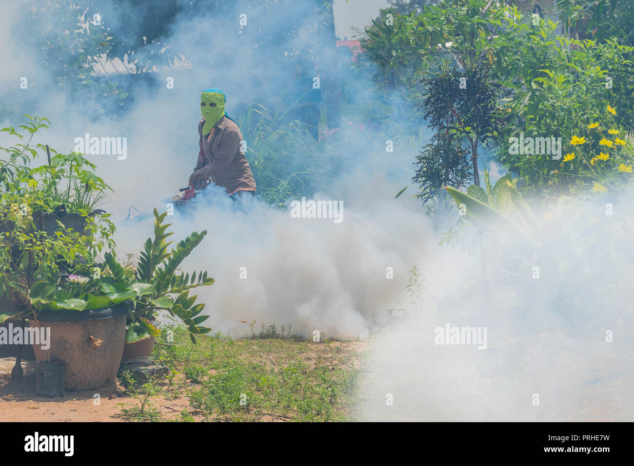 The soft blurred and soft focus the man sprays and fogging insecticide ...