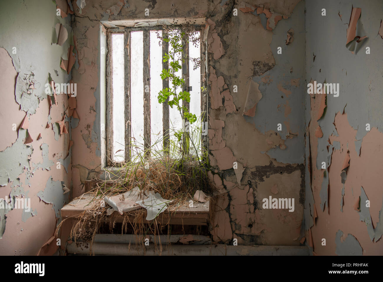 Inside a prison cell hi-res stock photography and images - Alamy