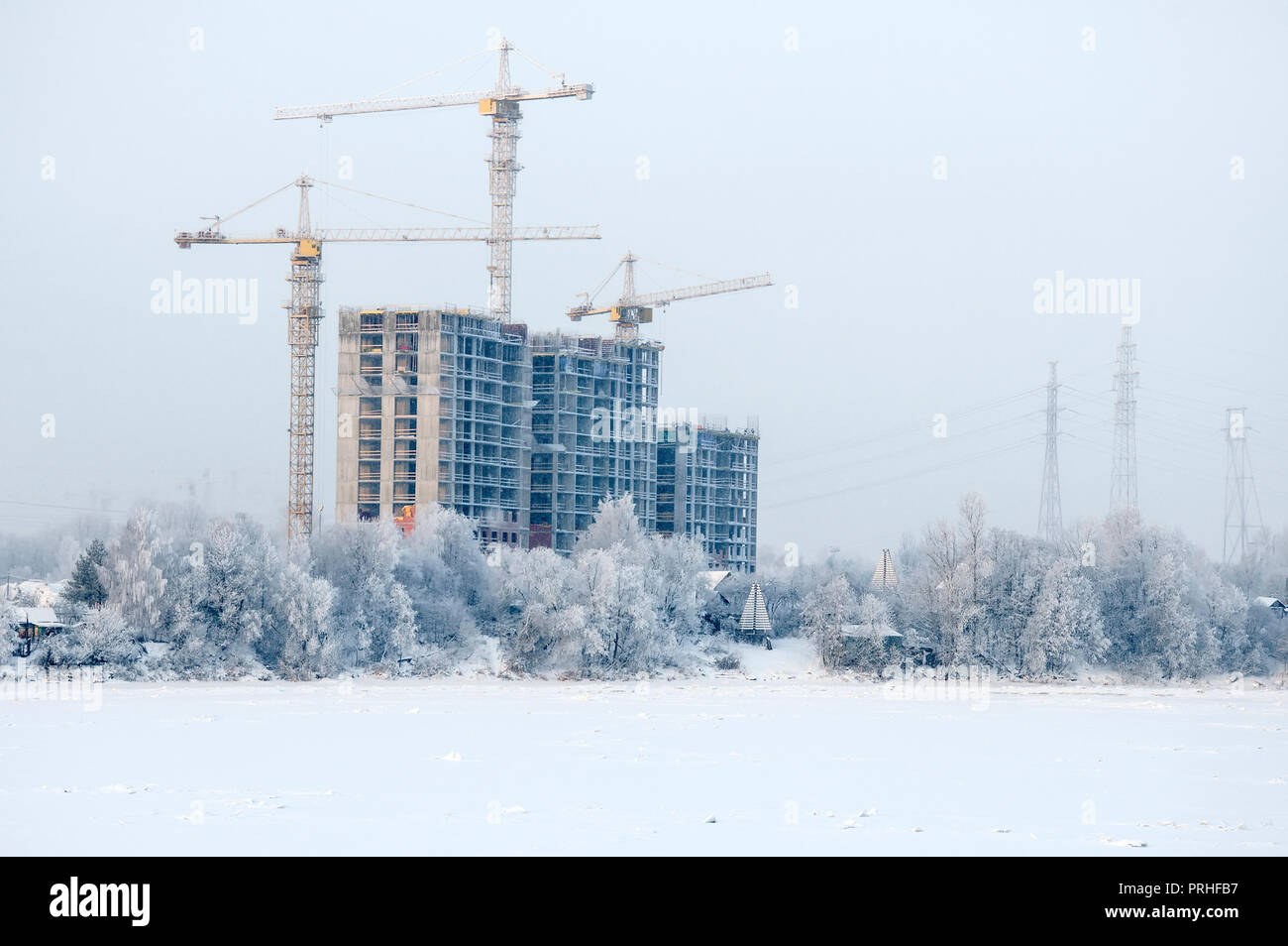 Snowy January morning in Nevsky forest Park. The Bank of the river Neva ...