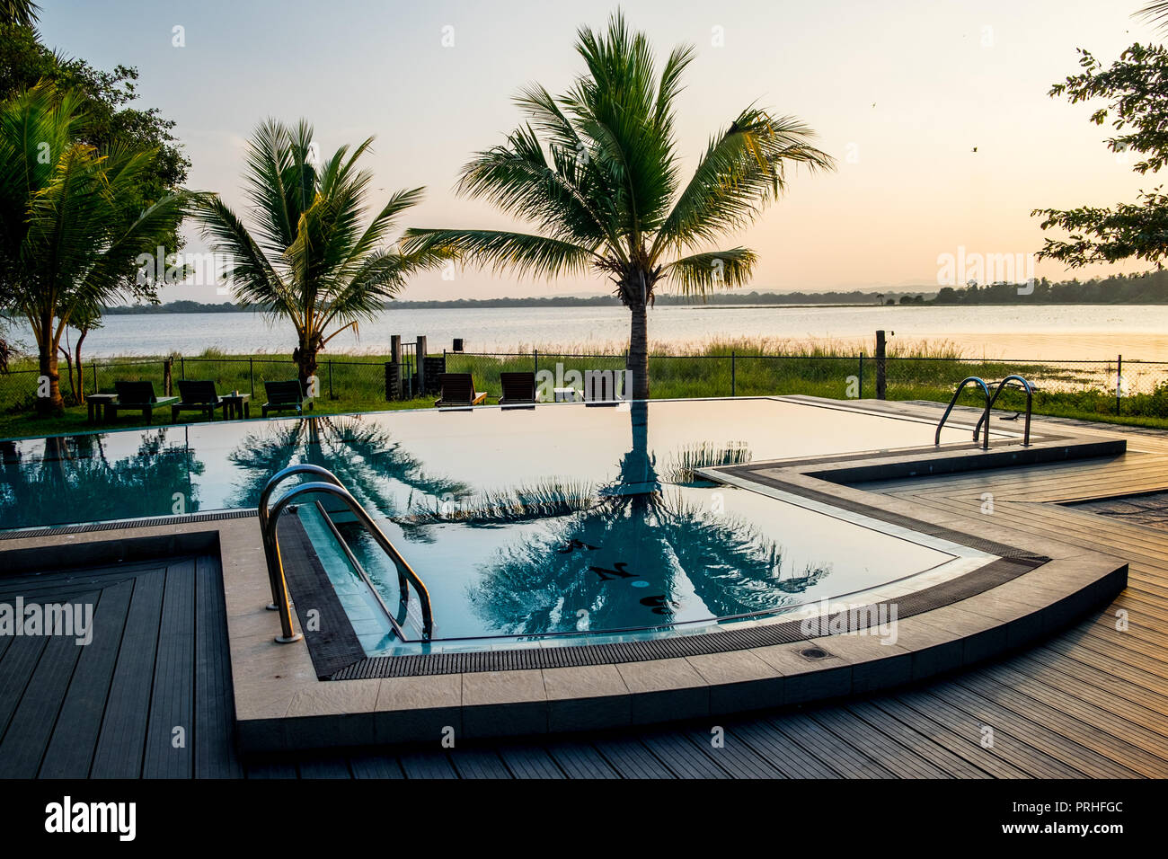 Palm trees reflecting in the pool Stock Photo - Alamy