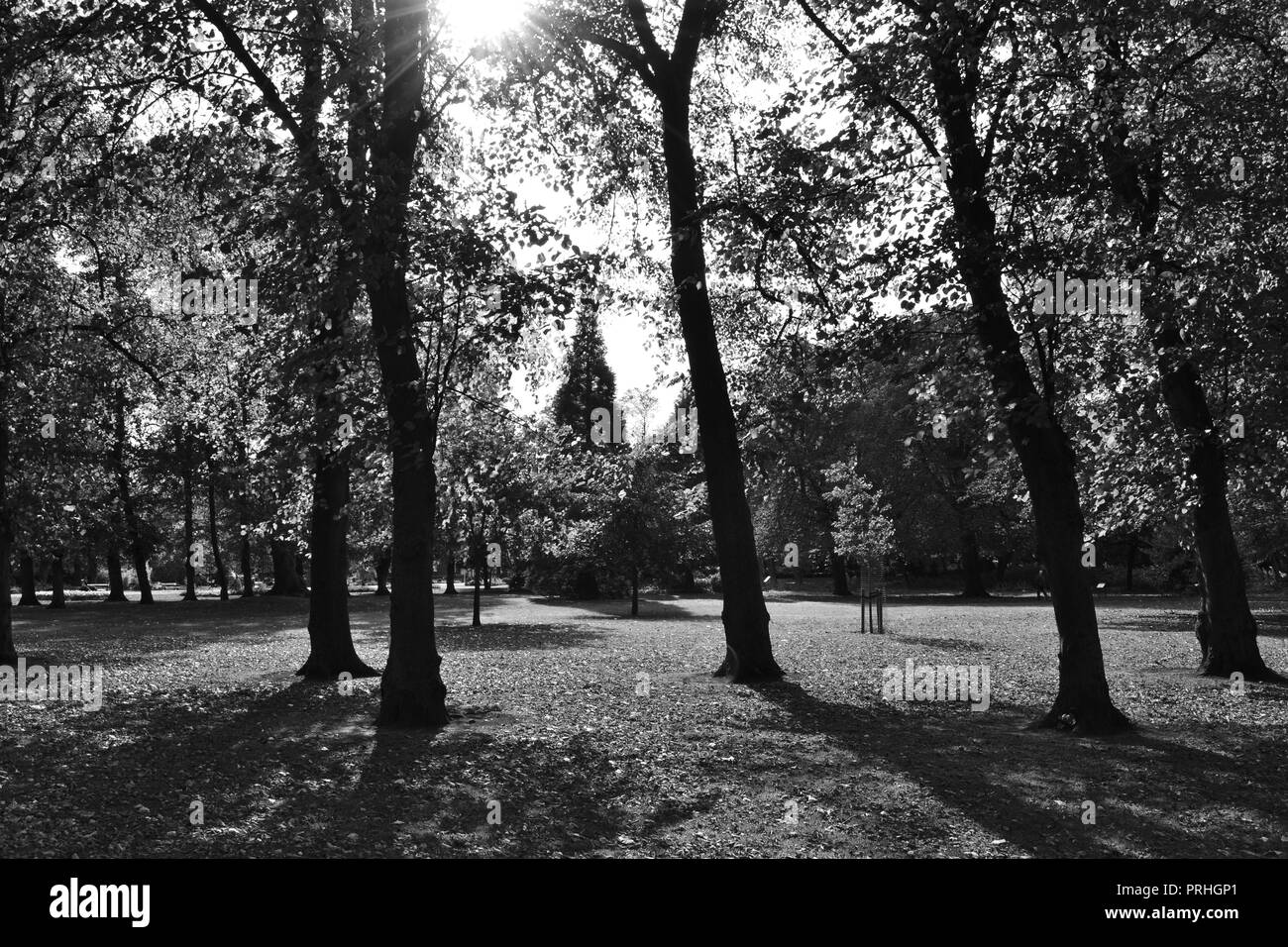 Beautiful, naturally lit black and white photographs of Ropner Park, a ...
