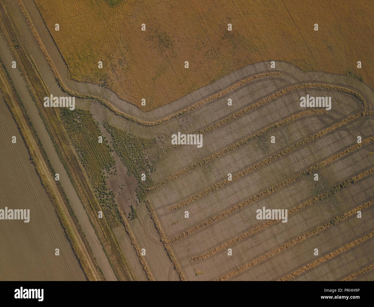 Saskatchewan wheat fields aerial hi-res stock photography and images ...