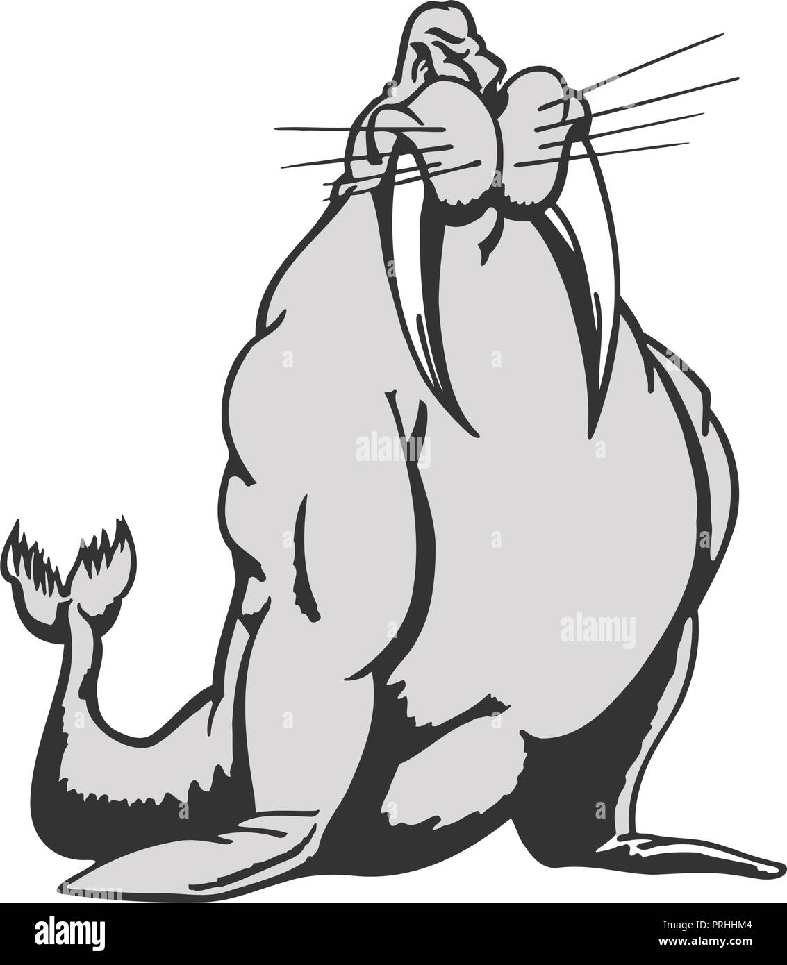 Seal north sea Cut Out Stock Images & Pictures - Alamy