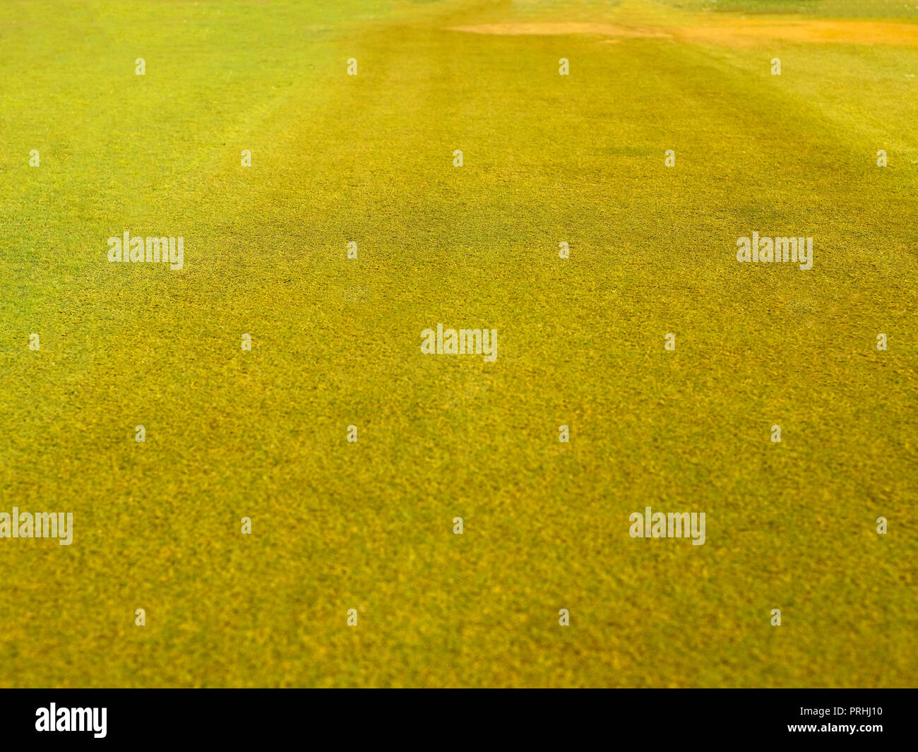 Cricket pitch texture hi-res stock photography and images - Alamy
