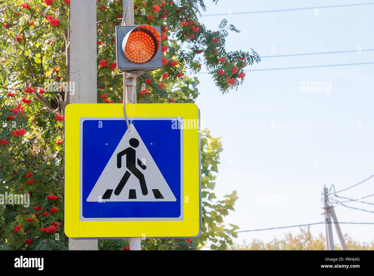traffic light on the pedestrian crossing, prohibiting the red stop ...