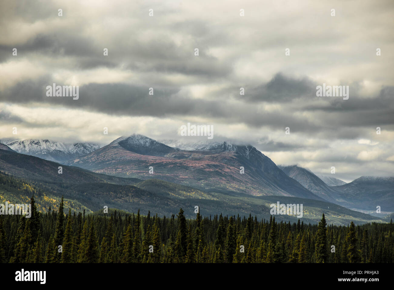 the great white north Stock Photo - Alamy