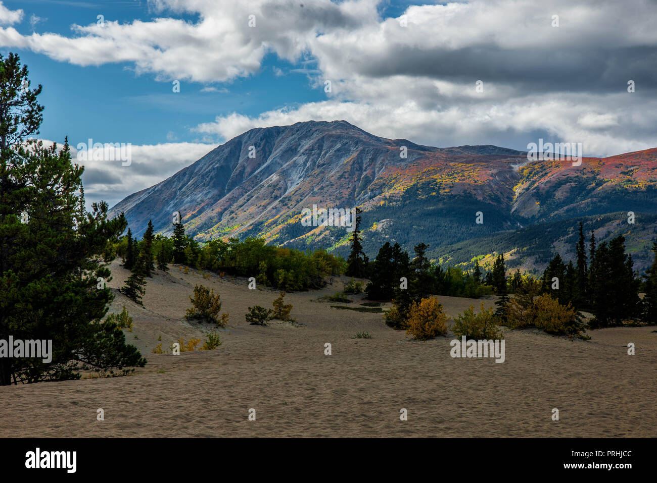 the great white north Stock Photo - Alamy