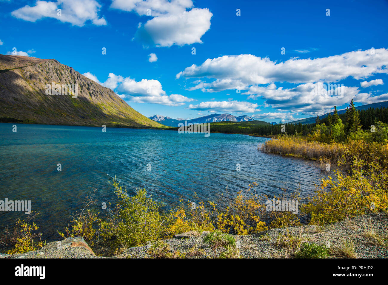 the great white north Stock Photo - Alamy