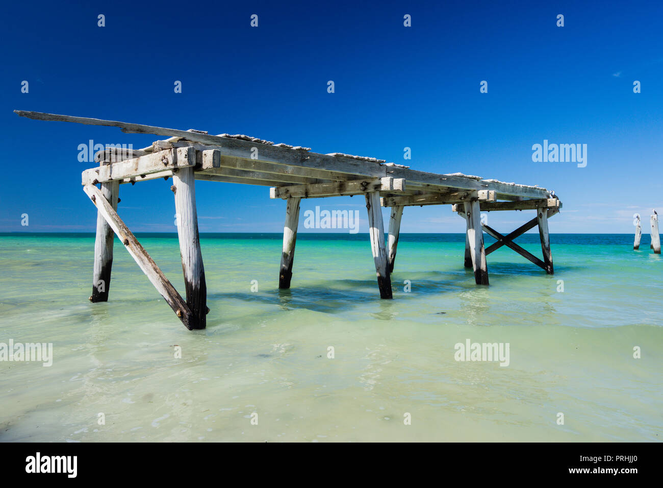 The ruins of the old historic wooden jetty on the coastline at Eucla ...