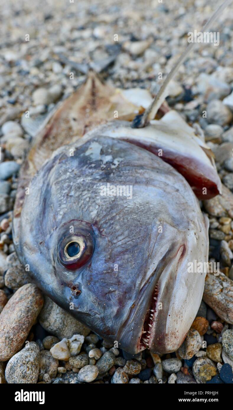 The beach at Clump mountain national park, Garners Beach Rd, Garners ...