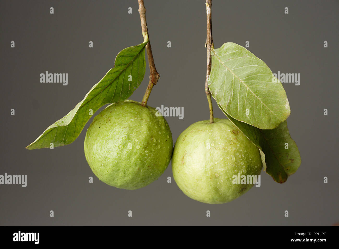 Guava (peru) with leaves Stock Photo - Alamy