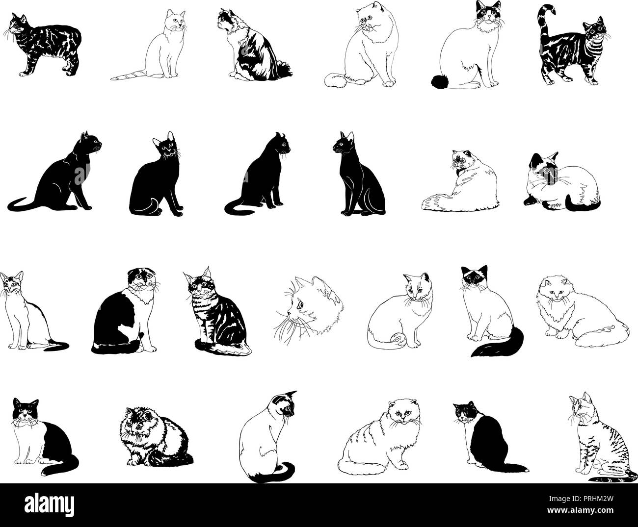 cat collection clipart Stock Vector Image & Art - Alamy