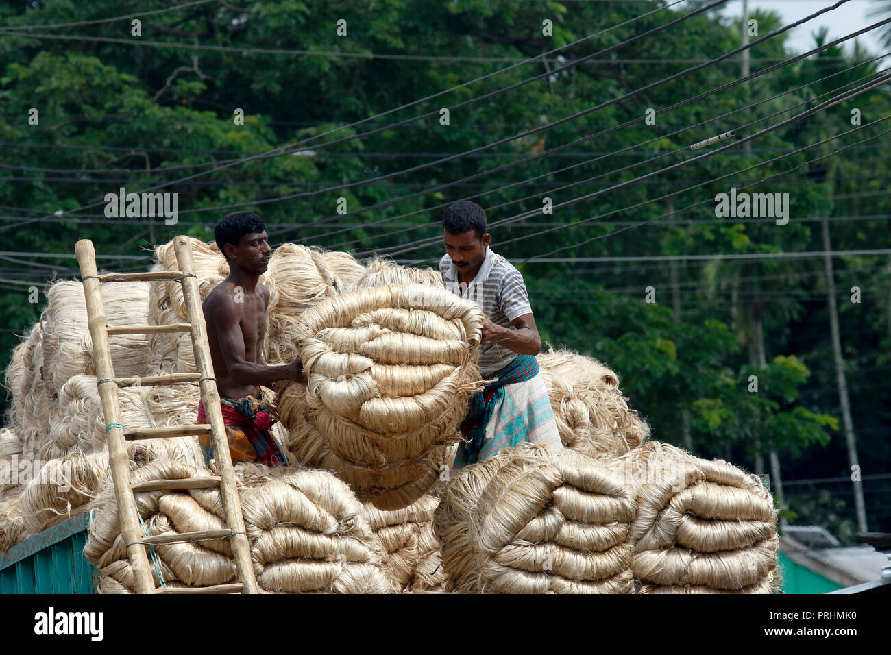 Workers load jute fibers on a truck at Modhukhali in Faridpur ...