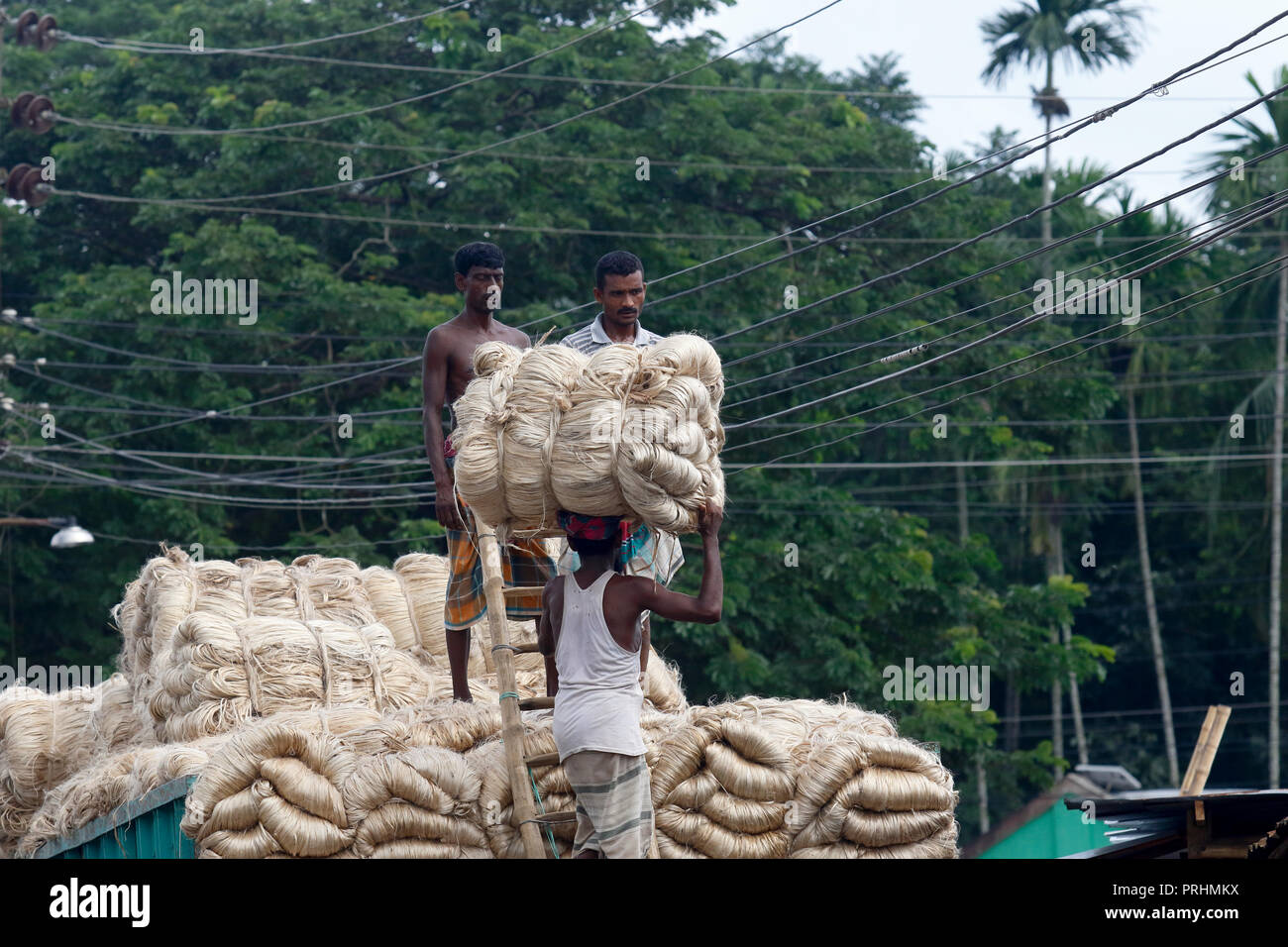Workers load jute fibers on a truck at Modhukhali in Faridpur ...