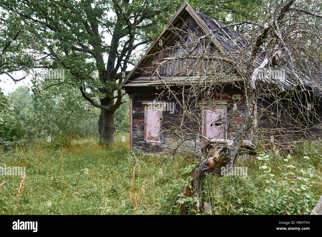 old wooden house in the forest Stock Photo - Alamy