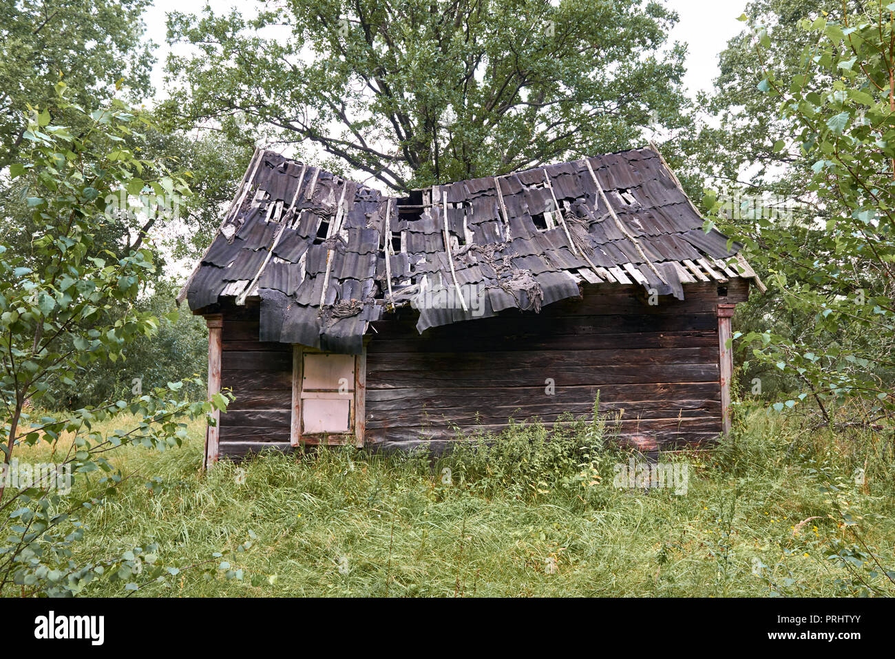 old wooden house in the forest Stock Photo - Alamy