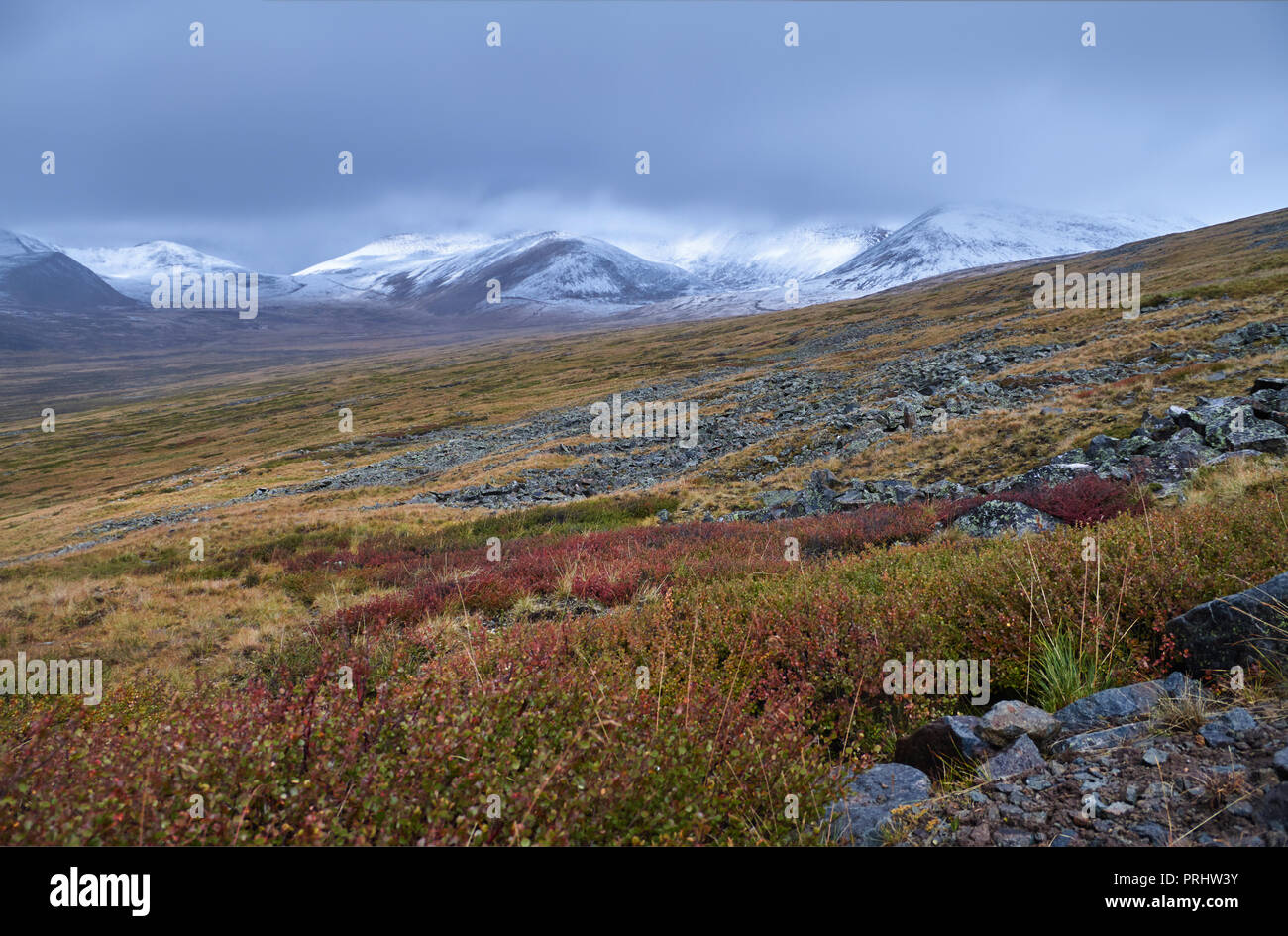 Autumn landscape of Altay. Sunset in the steppe, beautiful evening sky ...