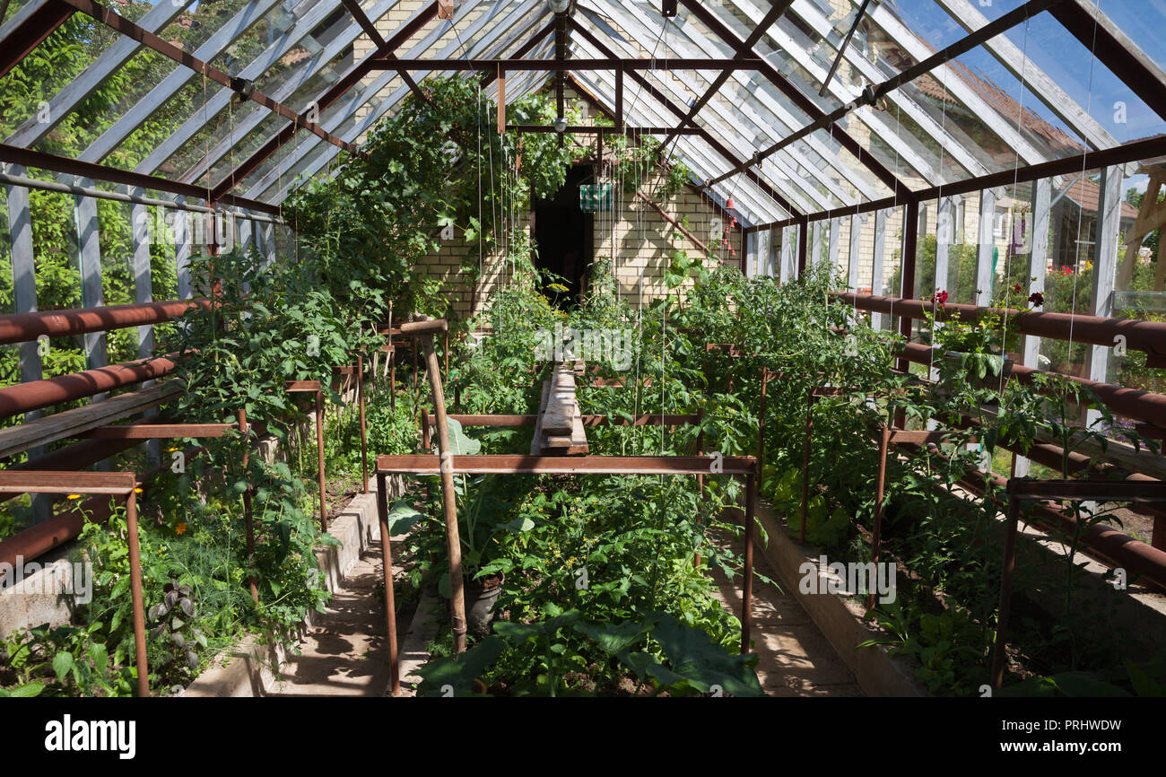 Natural small garden greenhouse in a countryside Stock Photo - Alamy