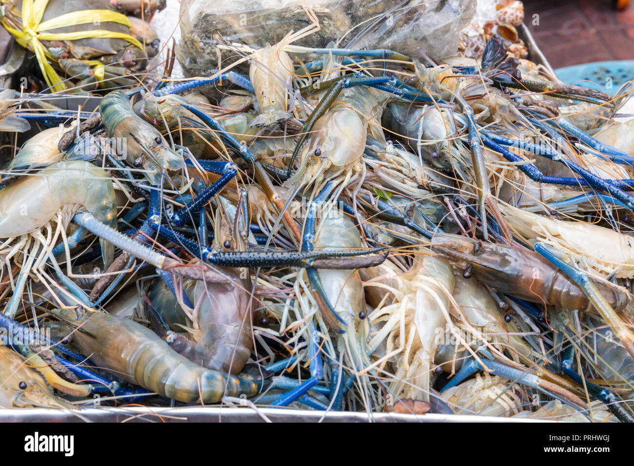 The fresh Giant River Prawn in the marget Stock Photo - Alamy