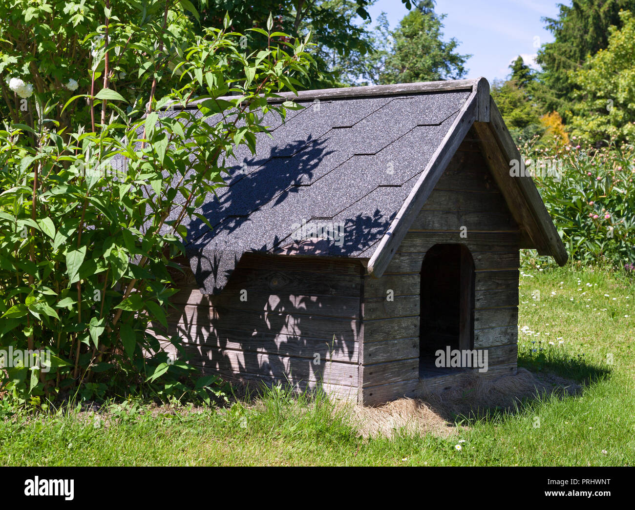 Empty doghouse hi-res stock photography and images - Alamy
