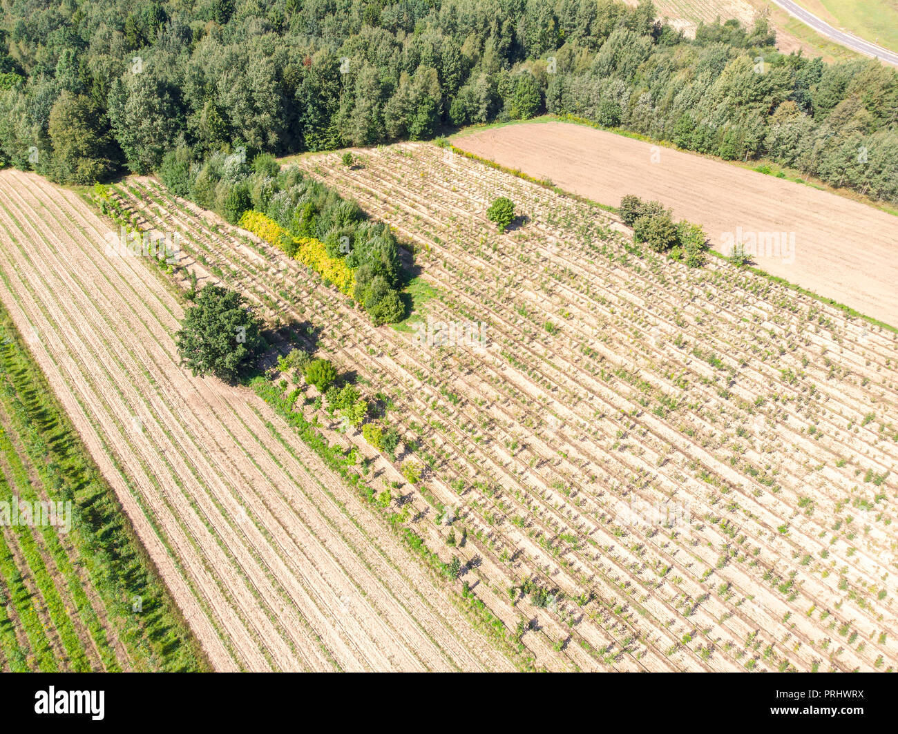 Rural countryside bird view hi-res stock photography and images - Alamy