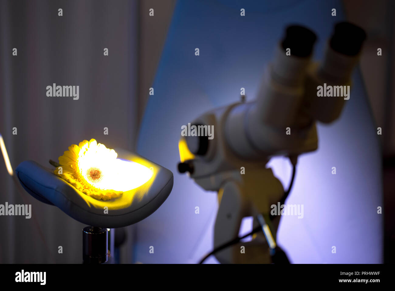 new medical microscope, background image with space for text Stock ...