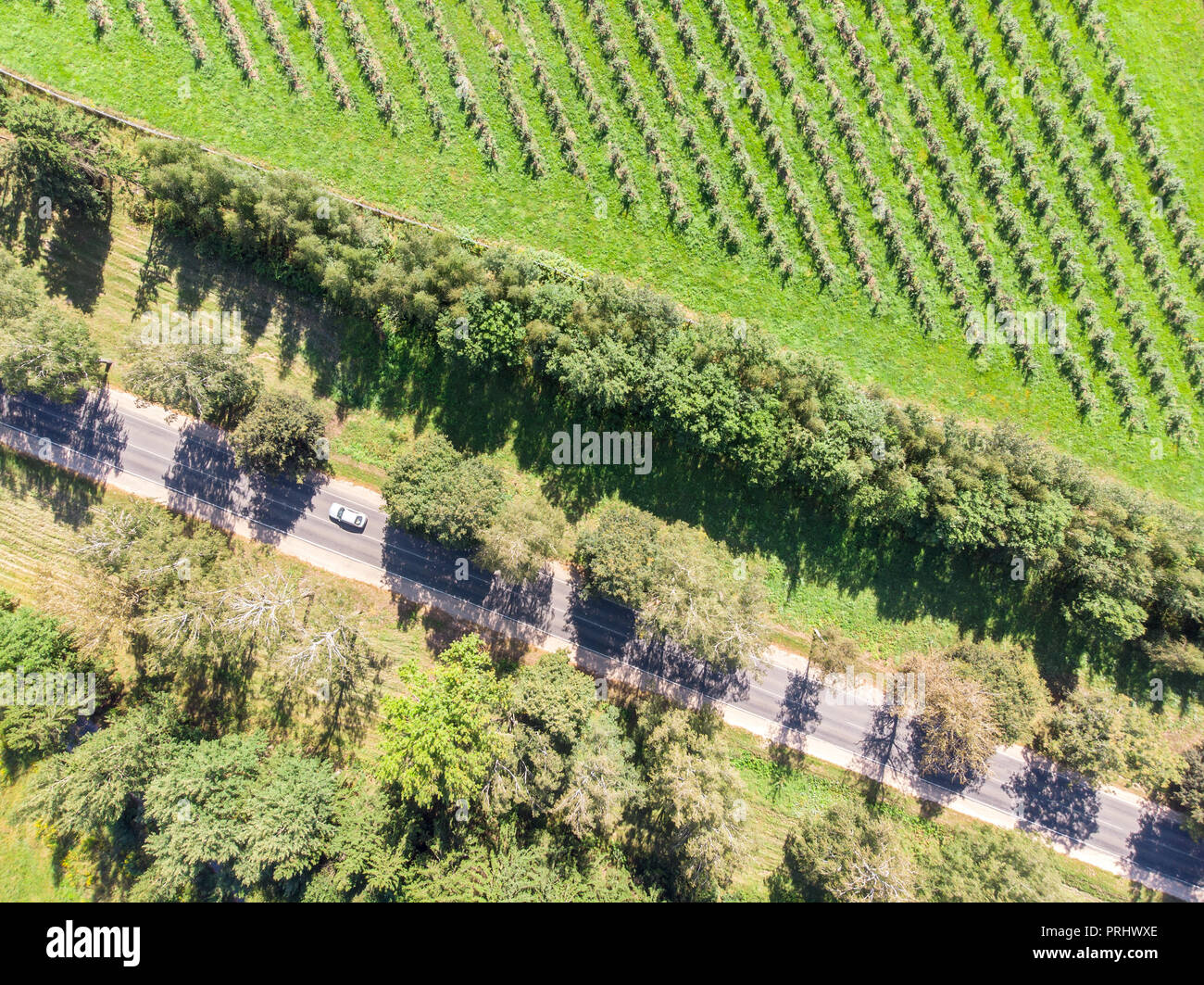 Car driving through crop field hi-res stock photography and images - Alamy