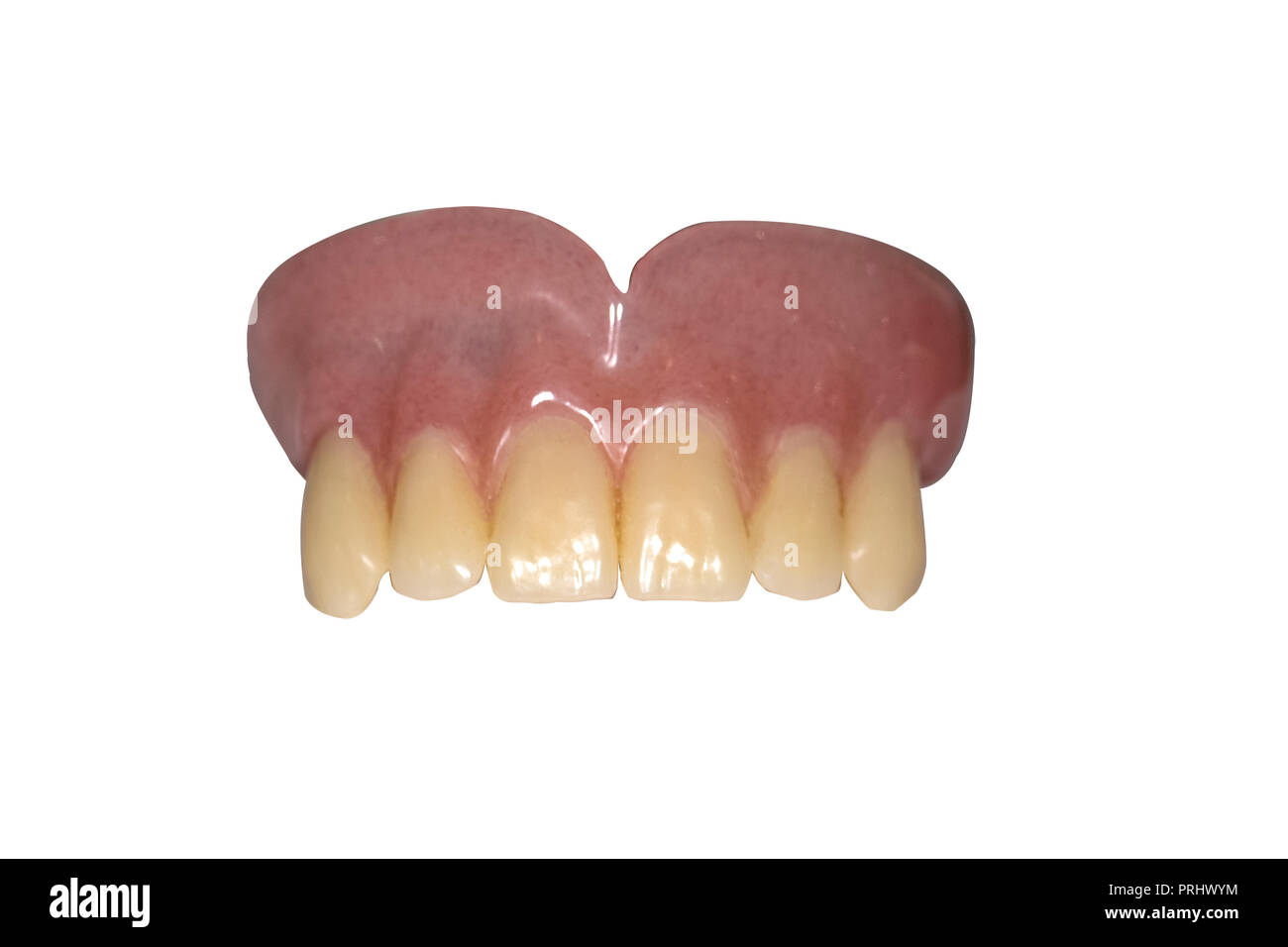 artificial gum with teeth isolated on white background Stock Photo - Alamy