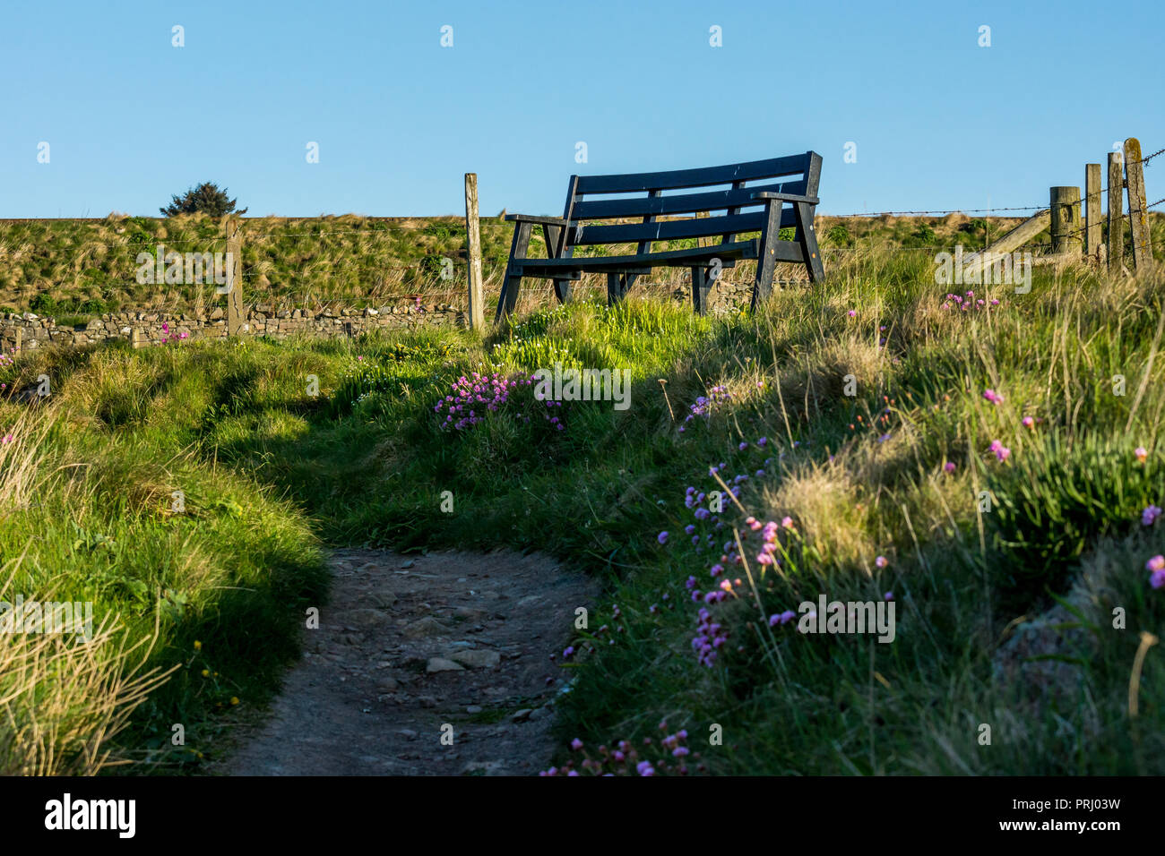 Clifftop path hi-res stock photography and images - Alamy