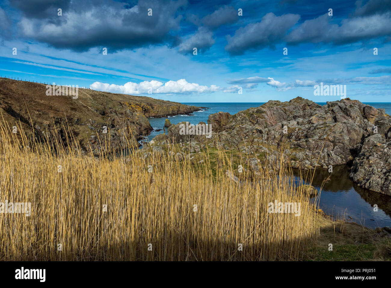 Cliffs and coastline beside Cove, Aberdeen, Aberdeenshire Stock Photo ...