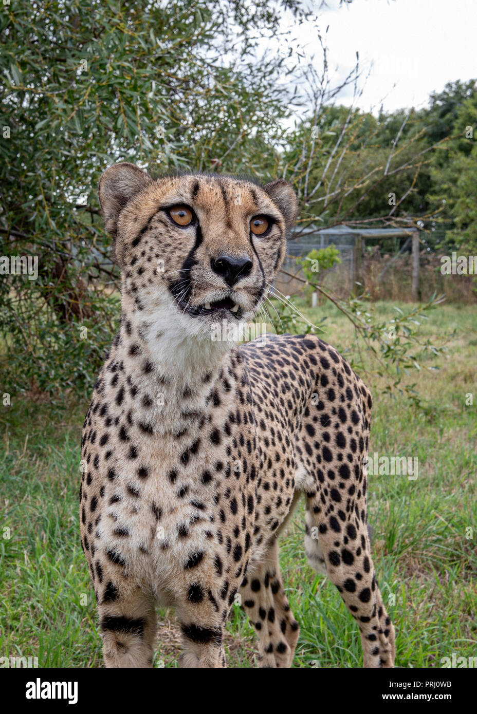 Hamerton hi-res stock photography and images - Alamy