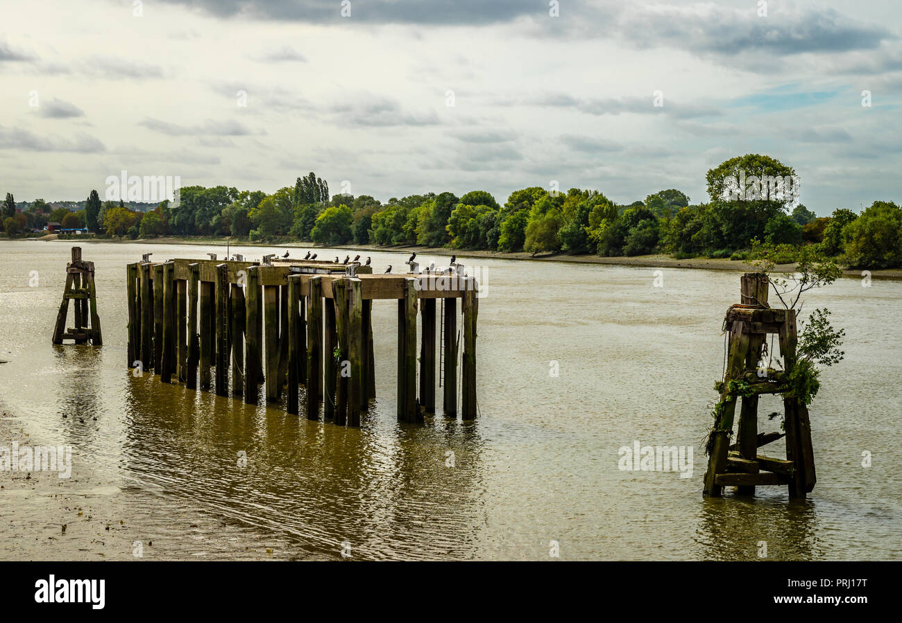 View of river Thames, from Thames path, somewhere between Hammersmith ...