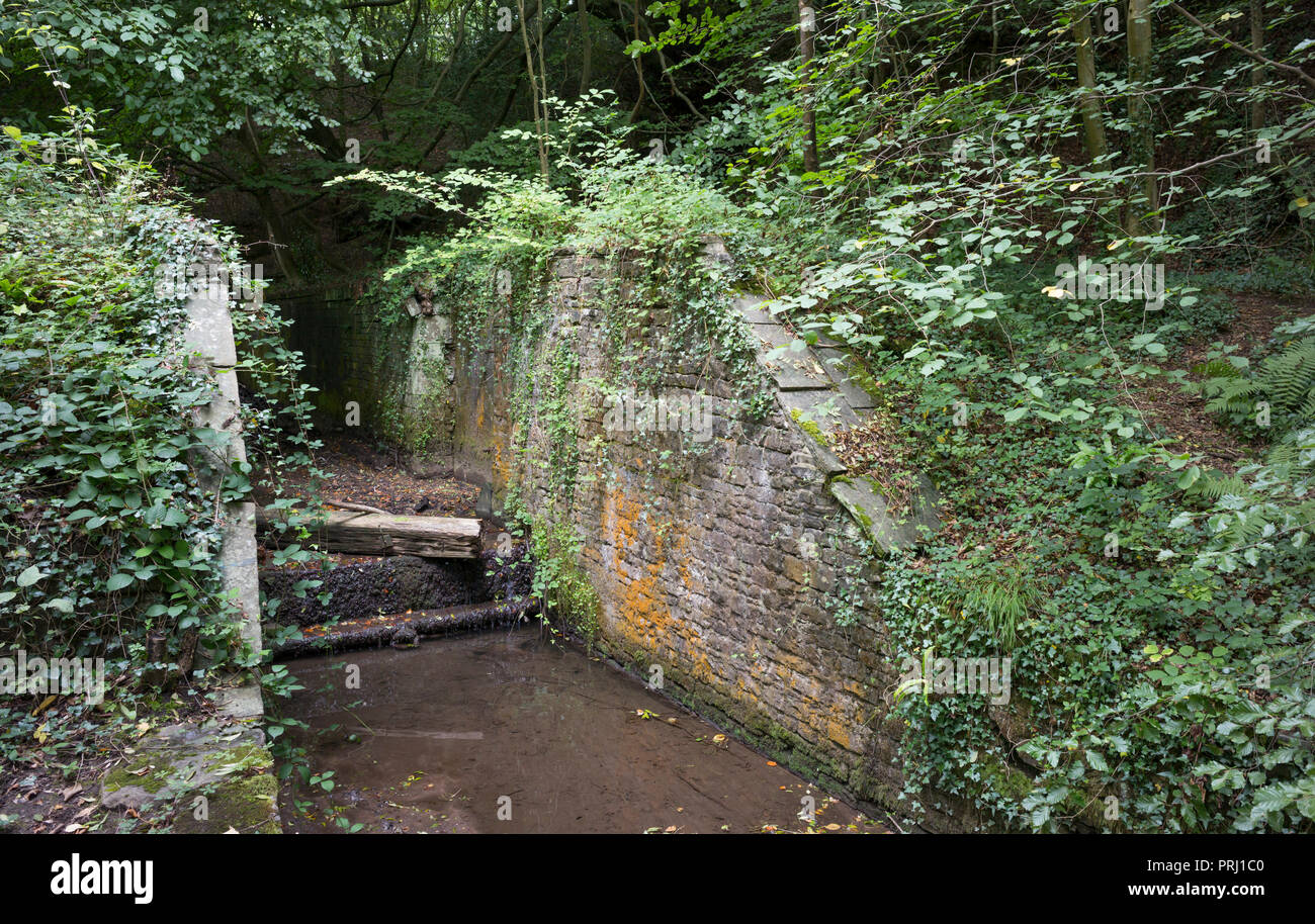 Disused and derelict lock on former Glamorganshire Canal, Tongwynlais ...