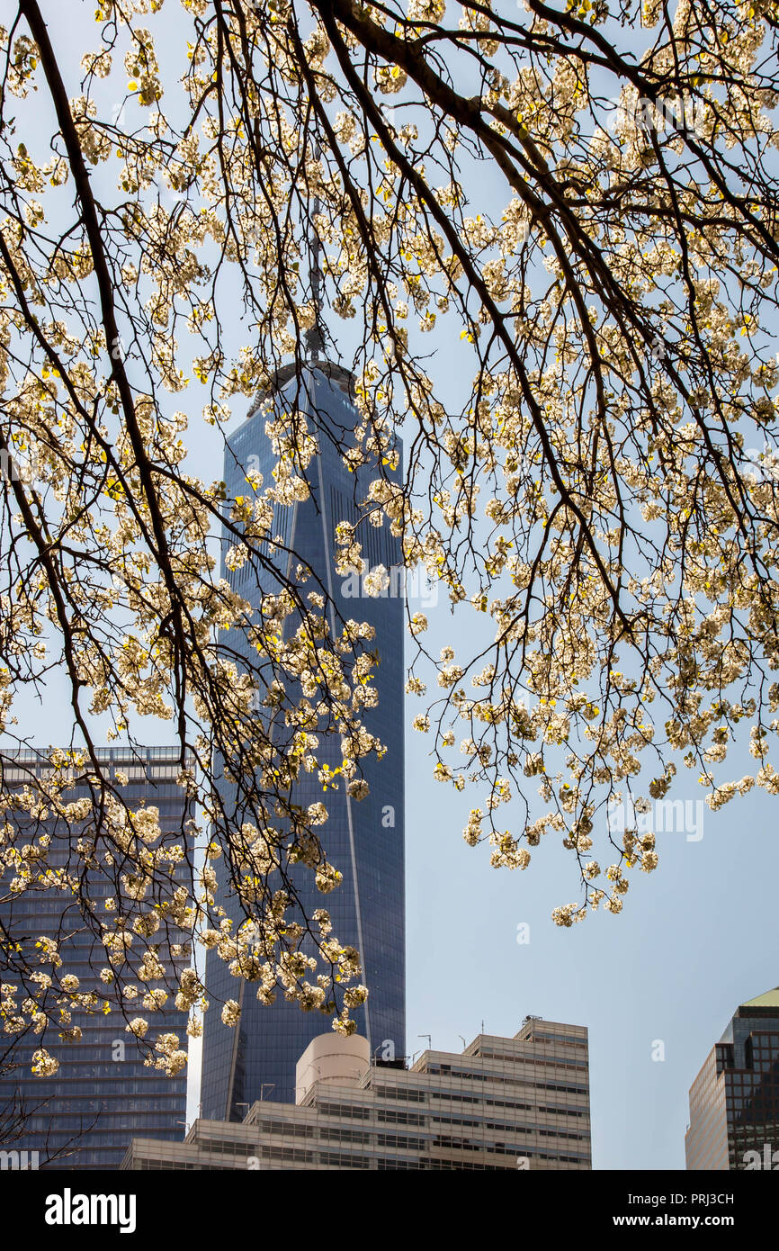 NEW YORK, NY - APRIL 22: One World Trade Center building with blooming ...