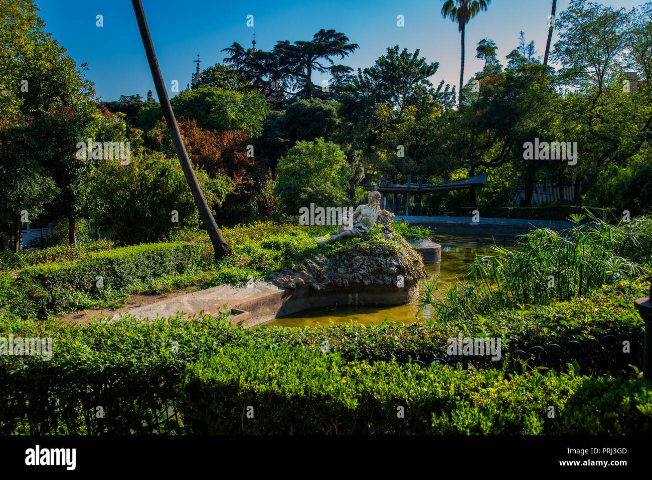 Lisbon park path trees sunny hi-res stock photography and images - Alamy