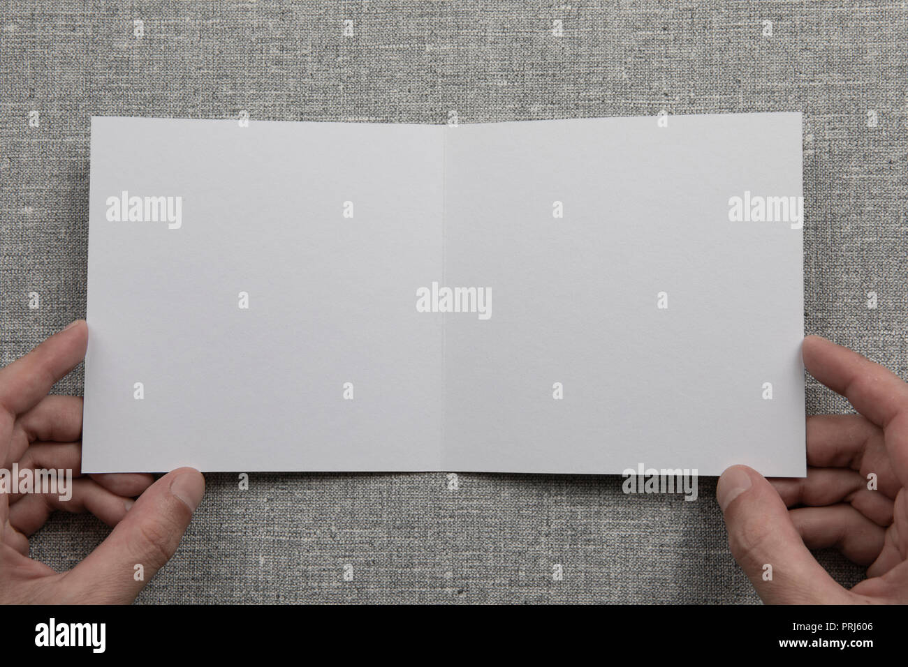 Mens hands holding empty white booklet on gray background. View from ...