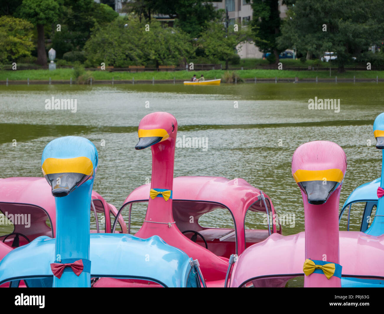 Boating Lake Pedal Boats High Resolution Stock Photography and Images ...