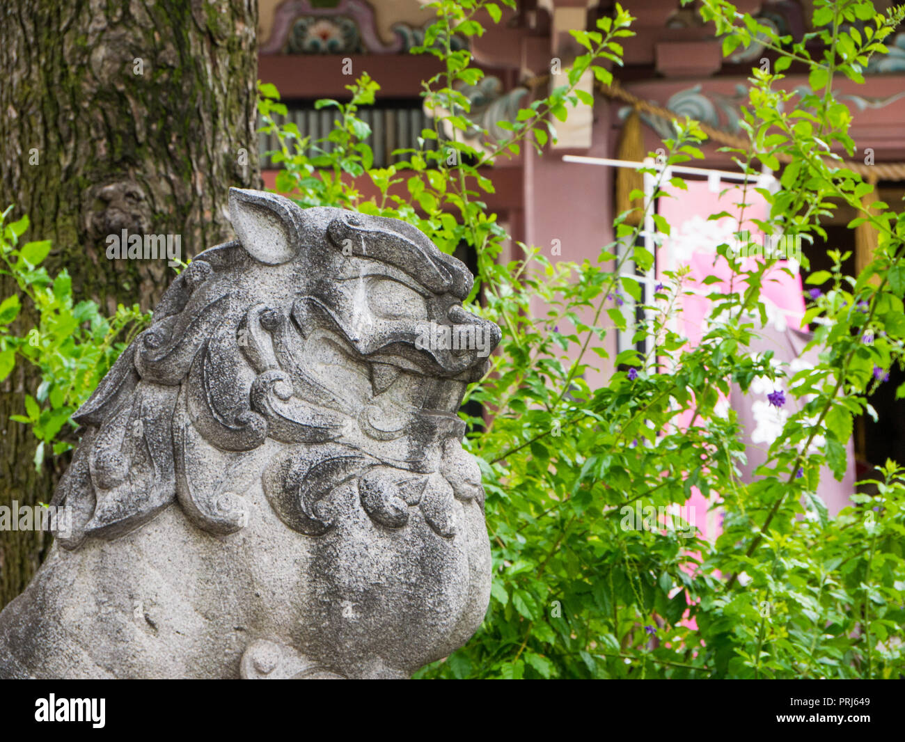 Japanese Guardian Lion-Dog at a Temple. Bronze Statue, Close-up of Face ...