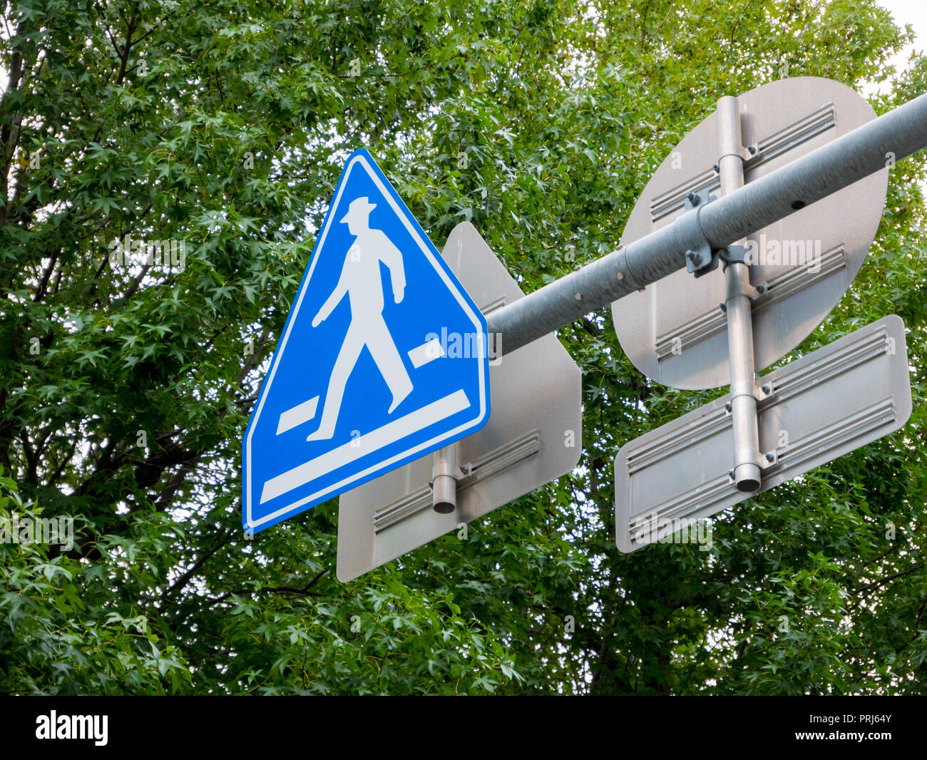traffic sign, blue pentagon pedestrian lane sign isolated on white ...