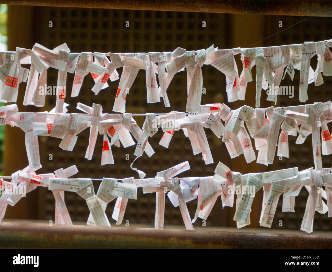 Traditional omikuji paper for fortune, fate, luck and blessing prayer ...