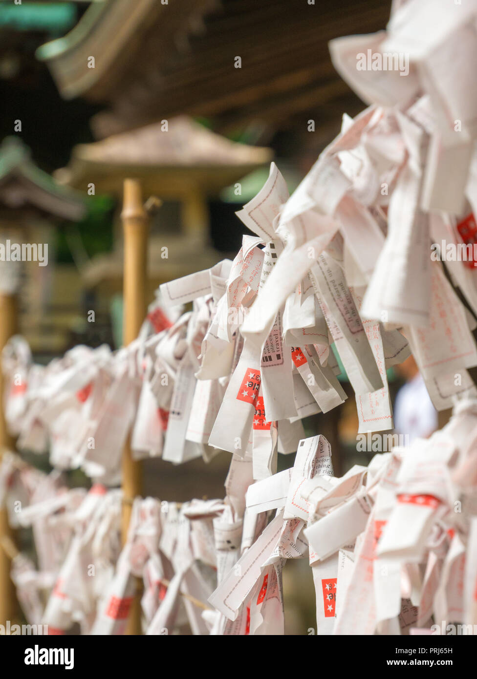 Traditional omikuji paper for fortune, fate, luck and blessing prayer ...
