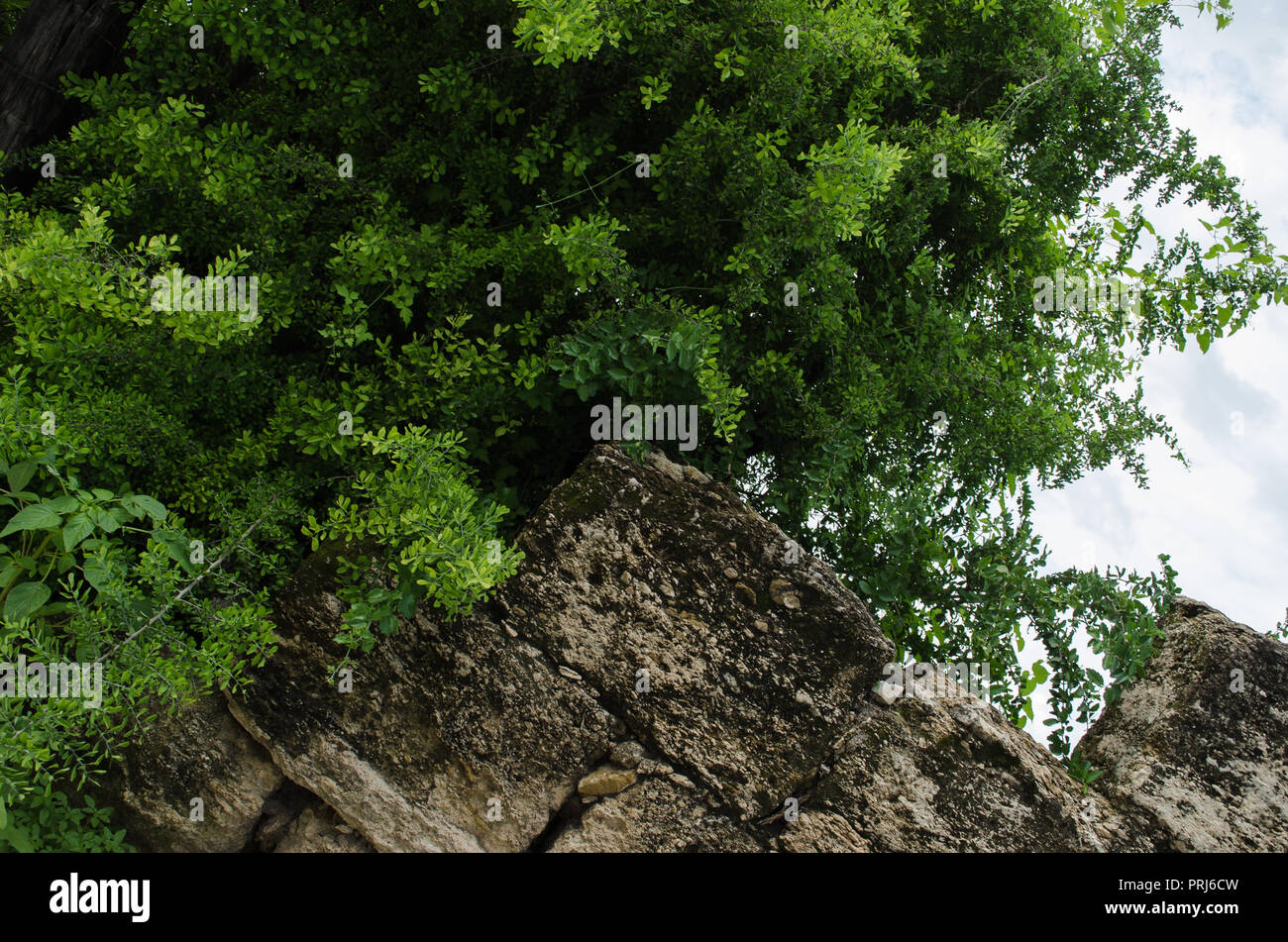 Broken ancient stone background hi-res stock photography and images - Alamy