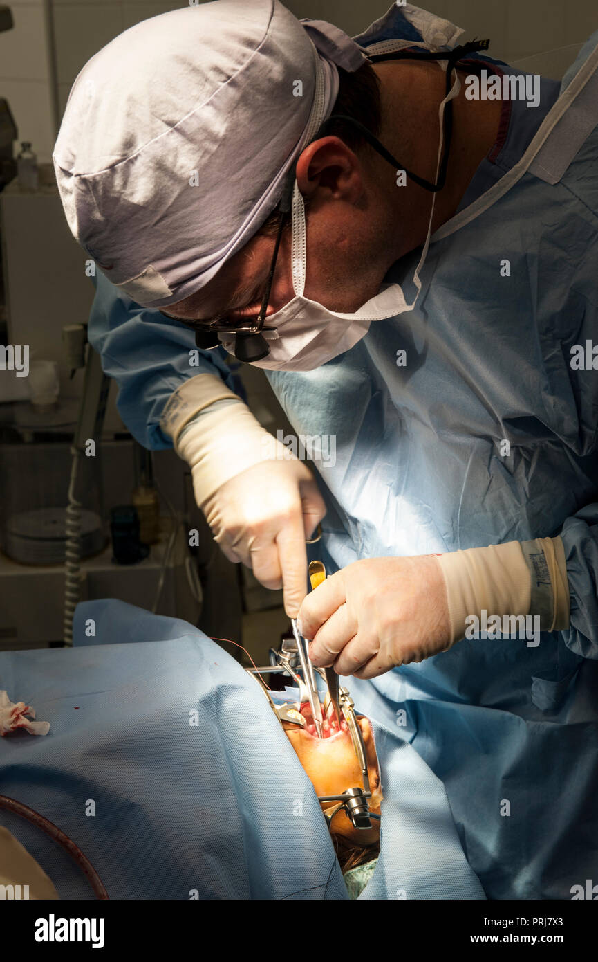 Man cross dressing mature hi-res stock photography and images - Alamy