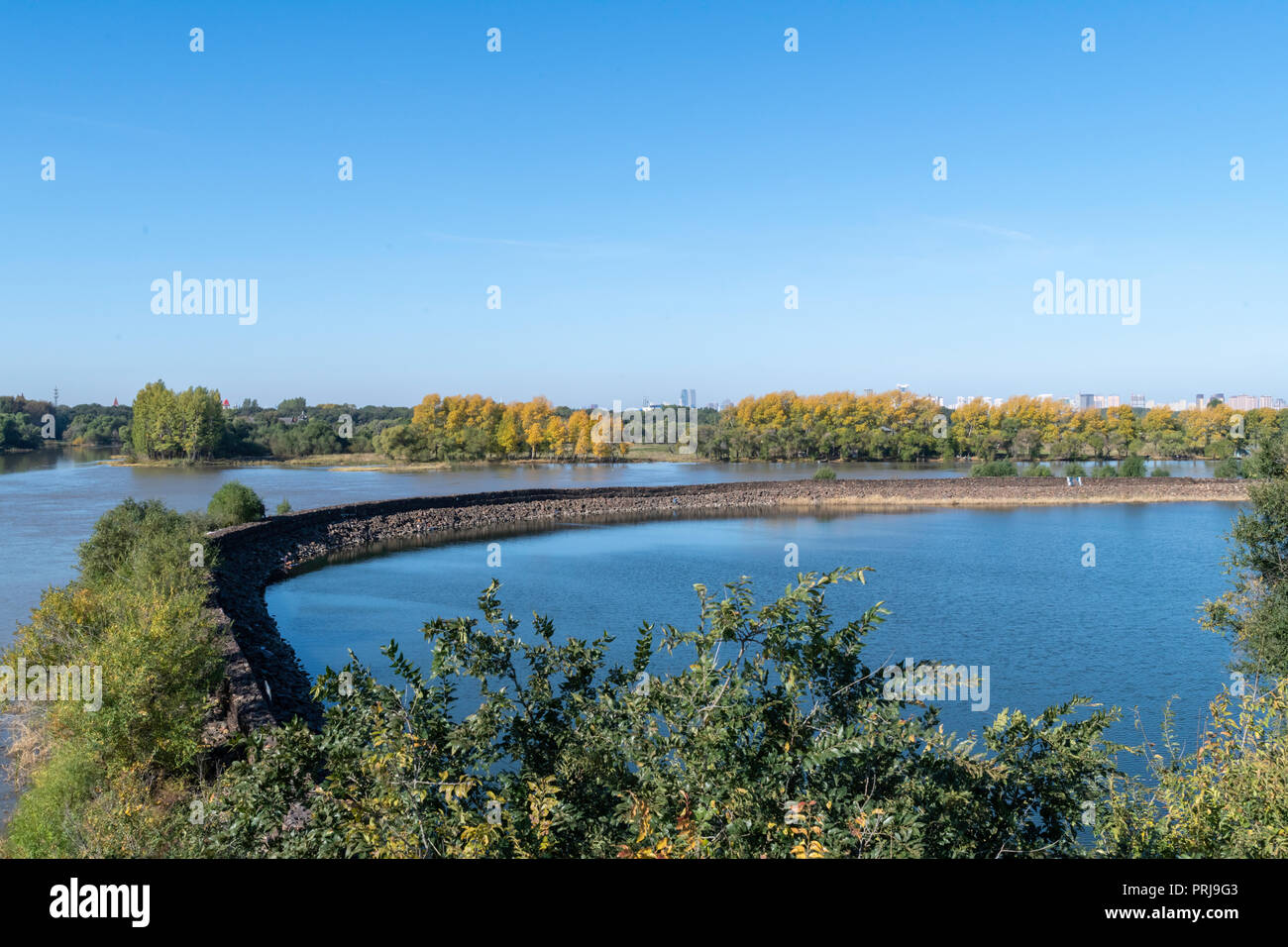Harbin a bird hi-res stock photography and images - Alamy