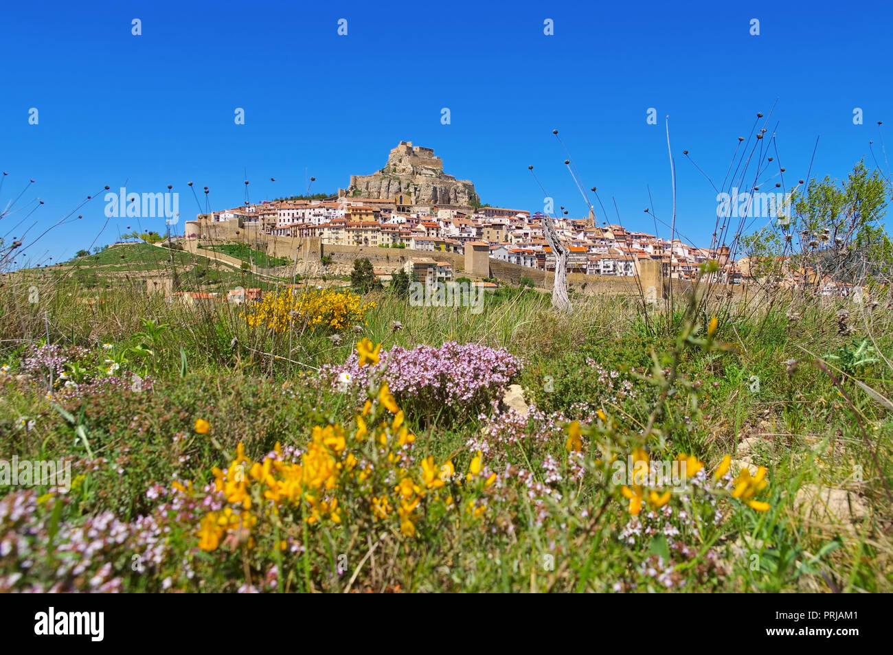the old medieval town of Morella, Castellon in Spain Stock Photo - Alamy