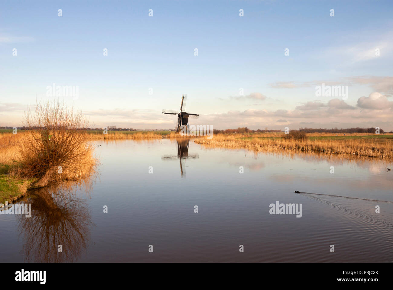 Windmill the Broekmolen Stock Photo - Alamy