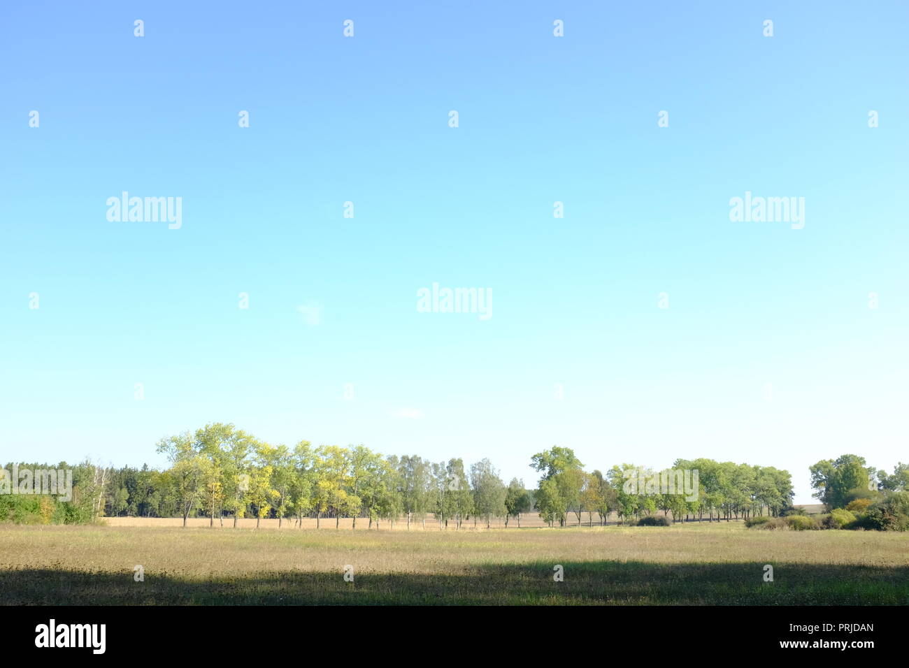 Field with trees in the countryside in czech republic Stock Photo - Alamy